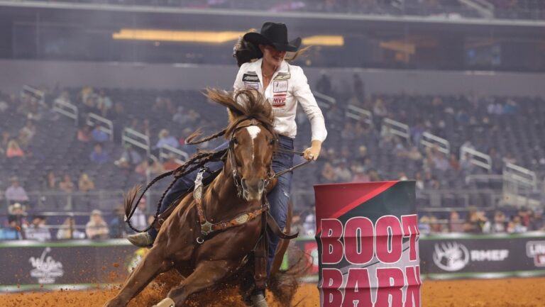 6 Top Barrel Racing Horse Breeds - How to Win The Jackpot