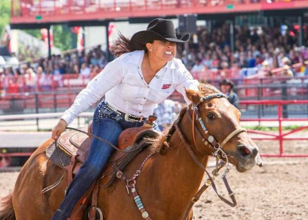 6 Top Barrel Racing Horse Breeds - How to Win The Jackpot