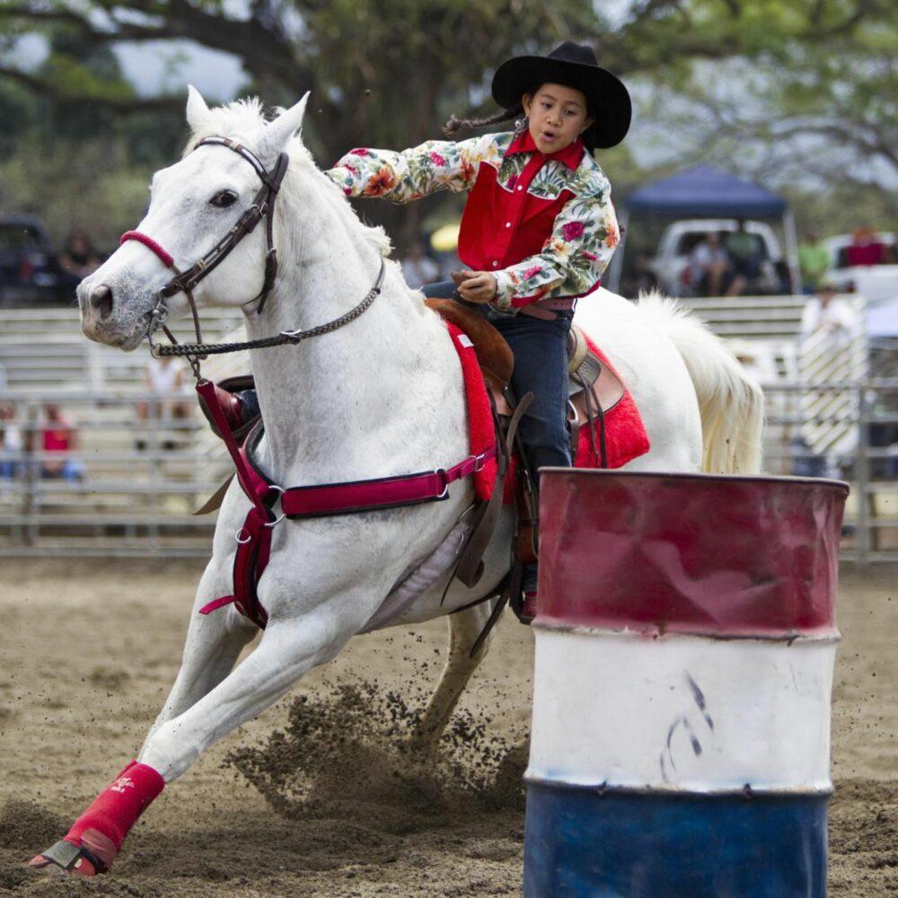 11 Beginner Barrel Racing Tips to Help You Win the Jackpot