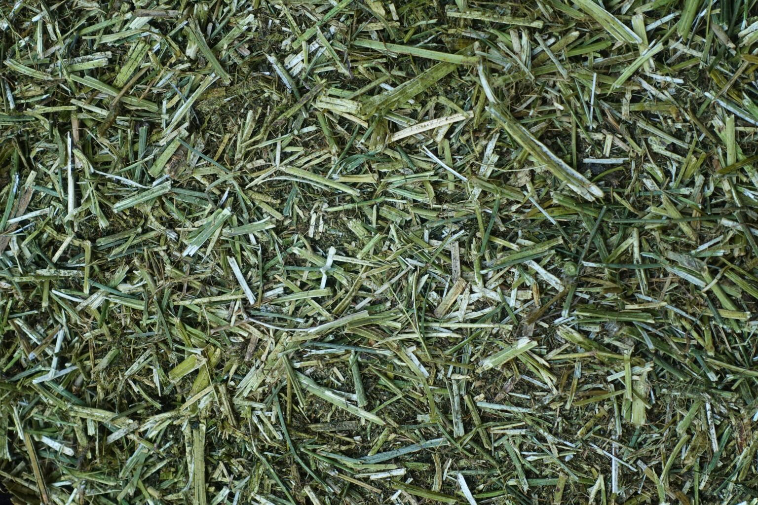 Chopped,Dried,Alfalfa,For,Livestock,Feed. | Horse Saddle Comparison