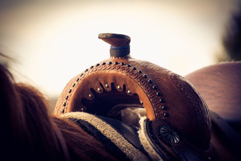 How to Diagnose and Treat Horse Back Pain Symptoms