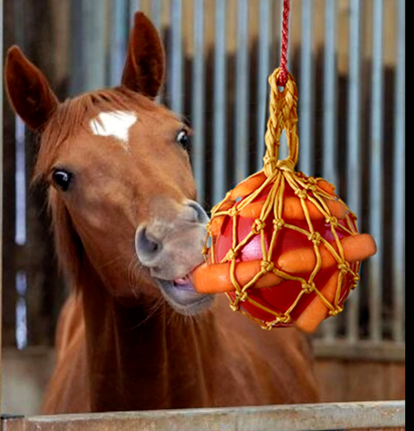 Stop Horses from Chewing Wood in Minutes - Horse Saddle Comparison