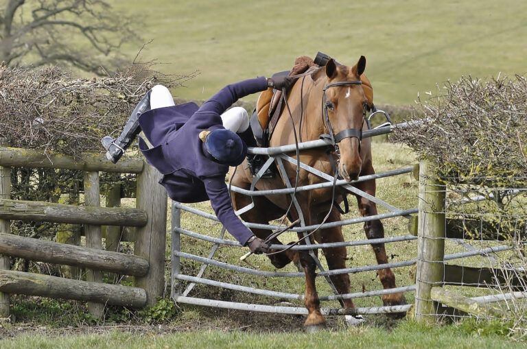 A,Lady,Rider,Falling,Off,A,Horse,And,Coming,Over | Horse Saddle Comparison